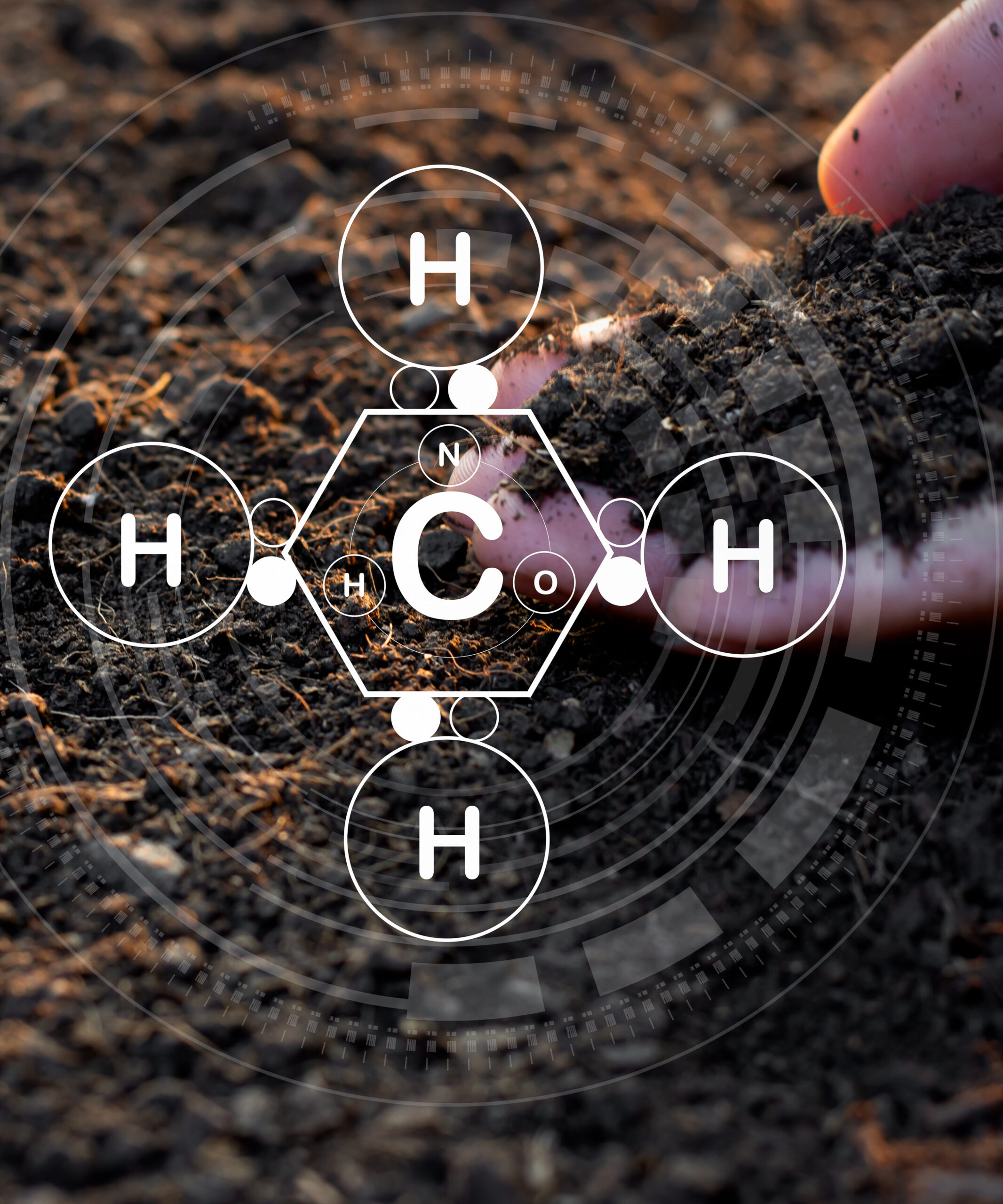 2024 International Workshop: Enhancing Soil Resilience for Circular Farming | FEWSUS